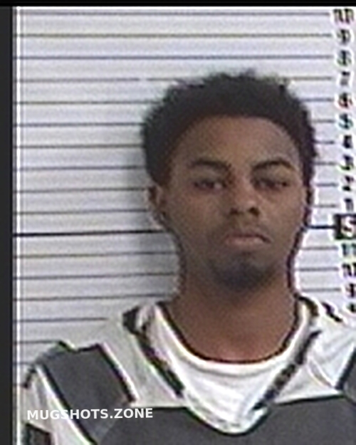 GAUTHIER JAVON ANTHONY 03/29/2023 - Bay County Mugshots Zone
