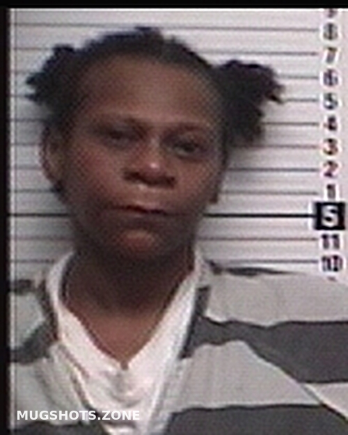 ABEL EVELYN B 03/30/2023 - Bay County Mugshots Zone