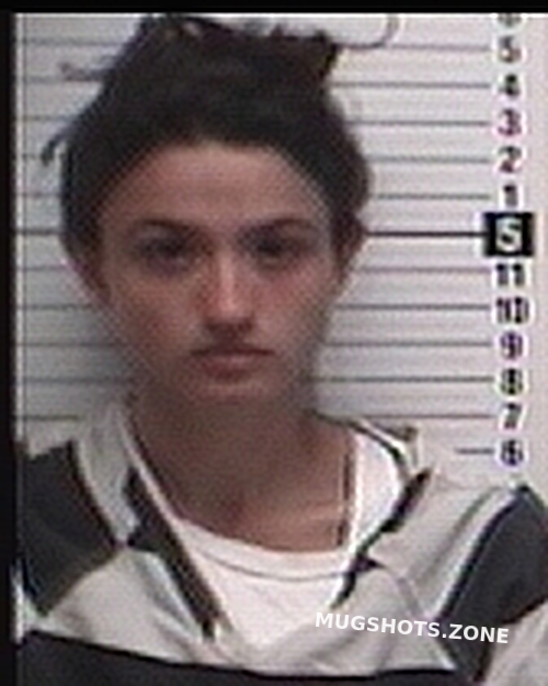AYRES DENISE FRANCES 04/04/2023 - Bay County Mugshots Zone