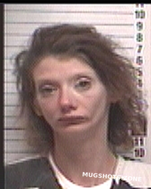 AULTMAN FRANCES NICOLE 04/05/2023 - Bay County Mugshots Zone