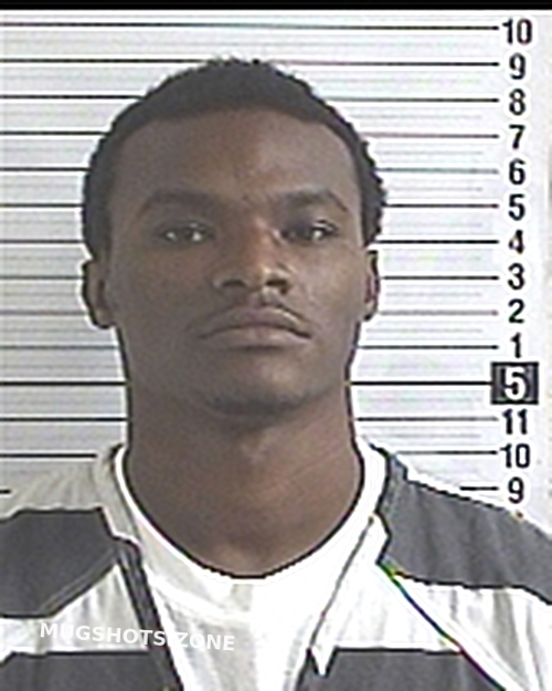 JOHNSON JAMONTE DARCELL 04/18/2023 - Bay County Mugshots Zone