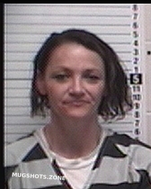MITCHELL ALISON HALEY 04/27/2023 - Bay County Mugshots Zone