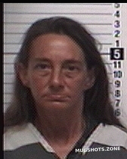TRAWICK DAWN MICHELE 04/27/2023 - Bay County Mugshots Zone
