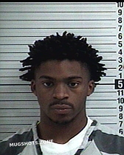 BROWN NORMANDO RAMON JR 05/19/2023 - Bay County Mugshots Zone