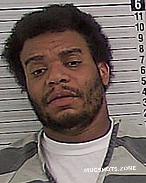 BAILEY KERRI 05/21/2023 - Bay County Mugshots Zone
