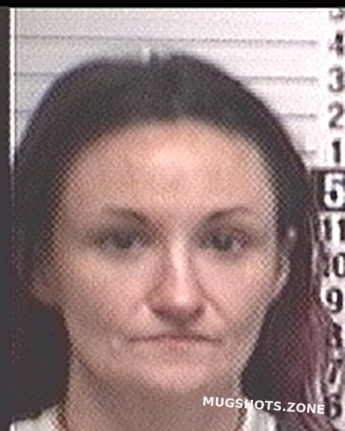 MORGAN AMANDA ANNE 05/24/2023 - Bay County Mugshots Zone