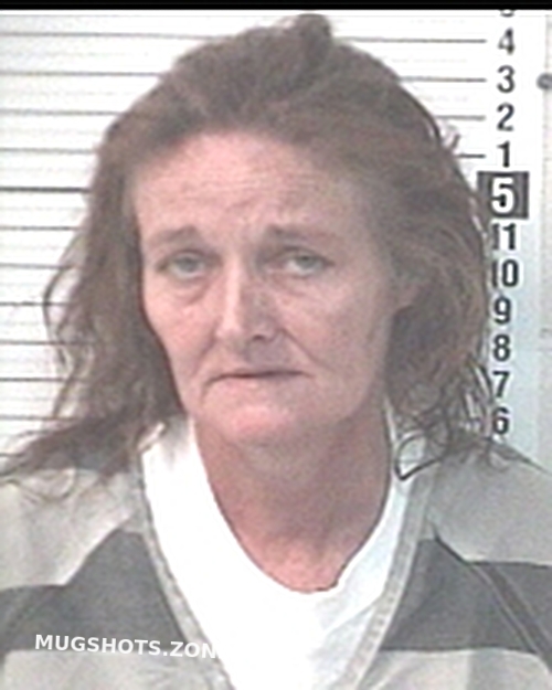 BARRIAULT KELLY REED 06/11/2023 - Bay County Mugshots Zone