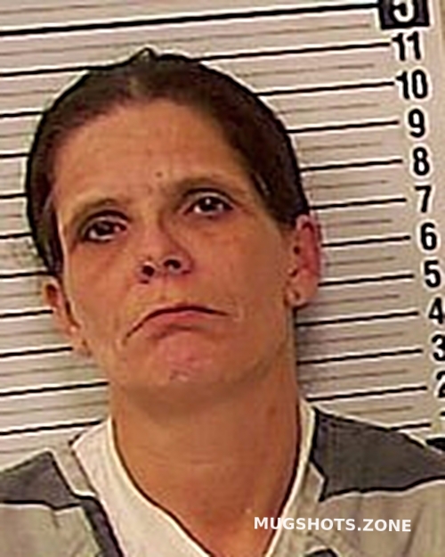 Mcclellan Michelle Monique 06 11 2023 Bay County Mugshots Zone
