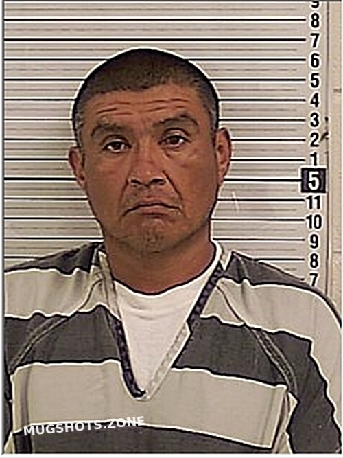 HERRERA DANIEL ALLENDE 06/20/2023 - Bay County Mugshots Zone