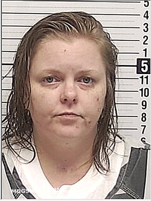 VIAFORA HEIDI RENEE 06/21/2023 - Bay County Mugshots Zone