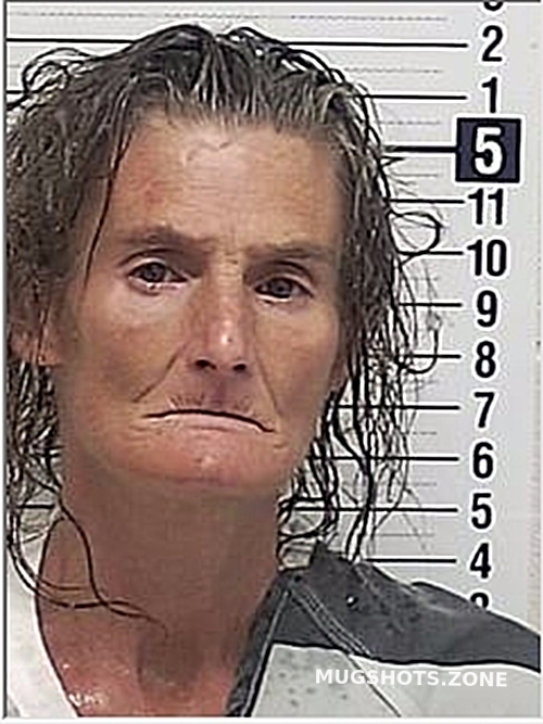 OLEARY SUSAN MARIE 06/22/2023 - Bay County Mugshots Zone