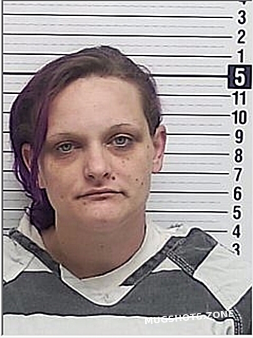JORDAN STACI RENE 06/22/2023 - Bay County Mugshots Zone