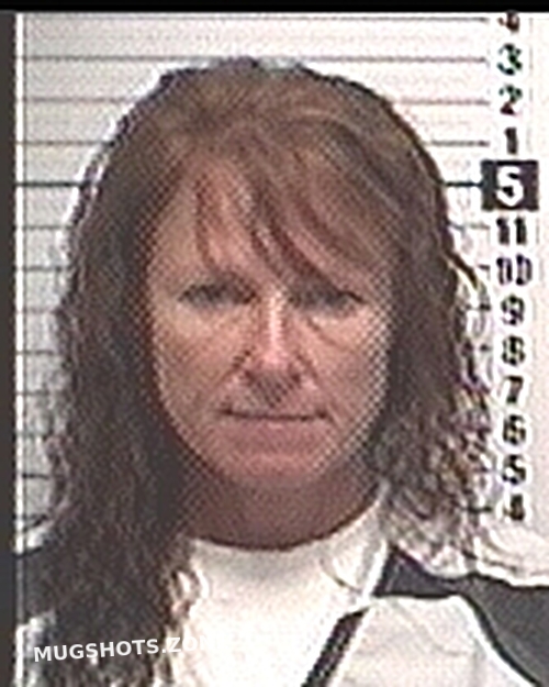 DAWSON TRACEY NICOLE 06/29/2023 - Bay County Mugshots Zone