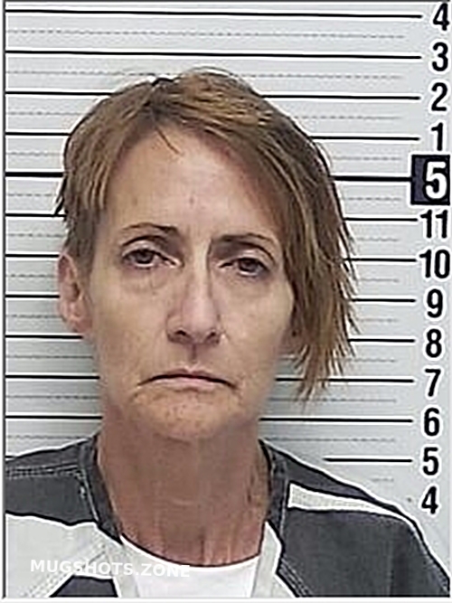 DANLEY TINA TERESA 07/01/2023 - Bay County Mugshots Zone