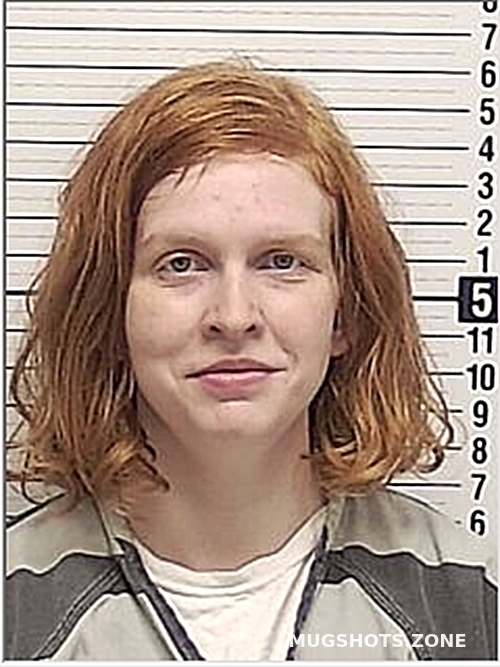 ARMSTRONG DESTINY NICHOLE 07/04/2023 - Bay County Mugshots Zone