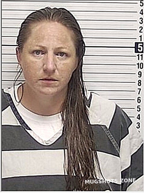 Hodges Amy Lynn 07082023 Bay County Mugshots Zone