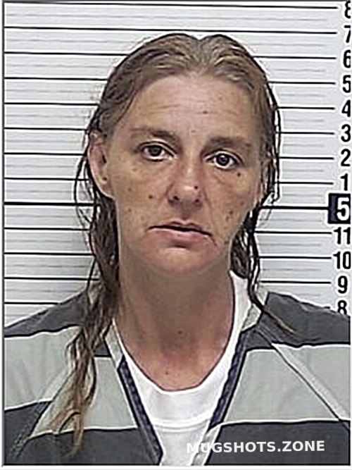 CARROLL EDITH ANN 07/15/2023 - Bay County Mugshots Zone