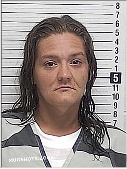 HESTER SAMANTHA JEAN 07/17/2023 - Bay County Mugshots Zone