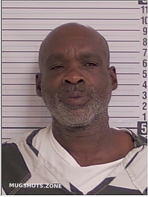 BALEY FRANK JR 07/30/2023 - Bay County Mugshots Zone