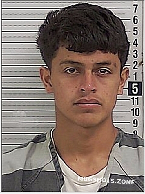 PALMA-ALVARADO JOSE JHANCARLOS 08/03/2023 - Bay County Mugshots Zone