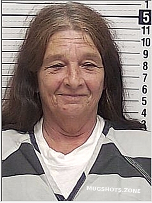 Mcclellan Michelle Eileen 08 16 2023 Bay County Mugshots Zone