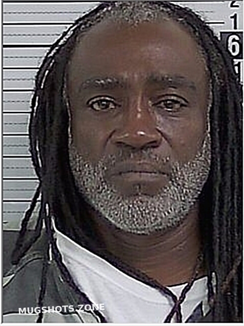 BESS GREGORY AUNDRA 08/18/2023 - Bay County Mugshots Zone