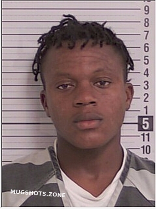 ALWORTHY LUKE SAMUAL 08/19/2023 - Bay County Mugshots Zone
