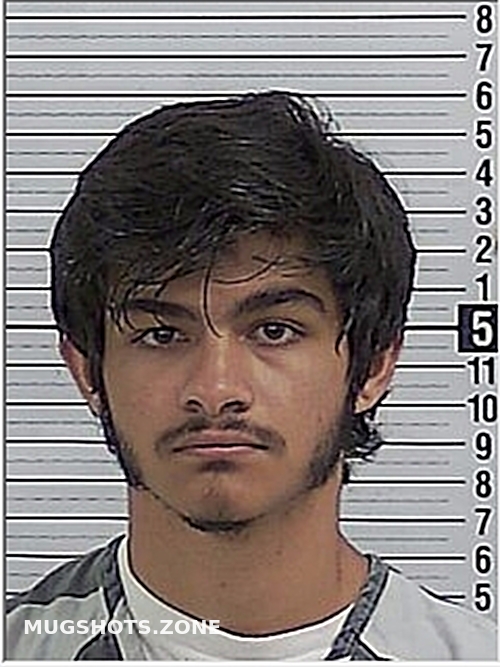 DAVIDO DAVINCHI JOHN 08/20/2023 - Bay County Mugshots Zone