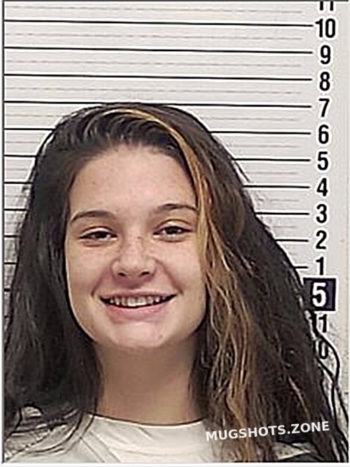 WILSON LINDZEE SERINITY 08/23/2023 - Bay County Mugshots Zone