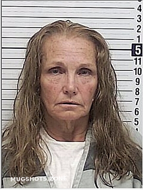 ROLLINS SHELLY 09/06/2023 - Bay County Mugshots Zone