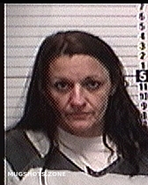 PERSINGER JANA ELIZABETH 09/07/2023 - Bay County Mugshots Zone