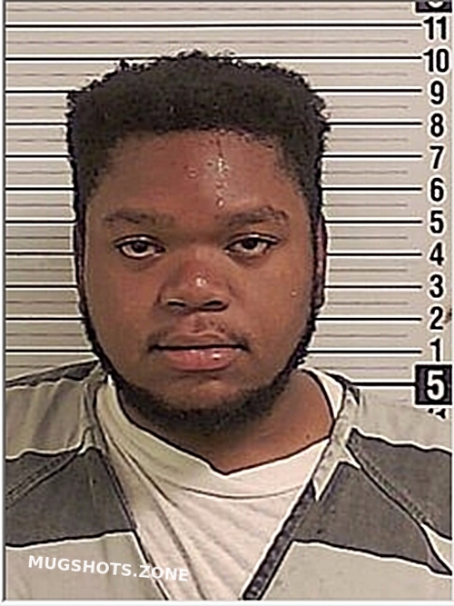 HOLT DESHAWN CJ 09/09/2023 - Bay County Mugshots Zone