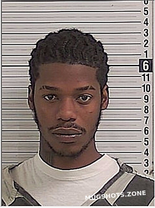 THOMAS DERRICK ANTHONY 09/11/2023 - Bay County Mugshots Zone