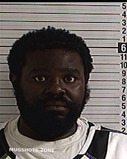 JOHNSON GRAYLIN ONEAL 09/21/2023 - Bay County Mugshots Zone