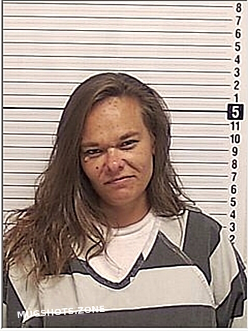 LENAIN AMY DANIELLE 09/27/2023 - Bay County Mugshots Zone