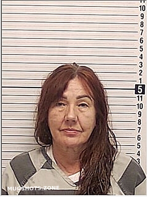 CLEMENTS TETYANA NIKOLAYEVNA 10/02/2023 - Bay County Mugshots Zone