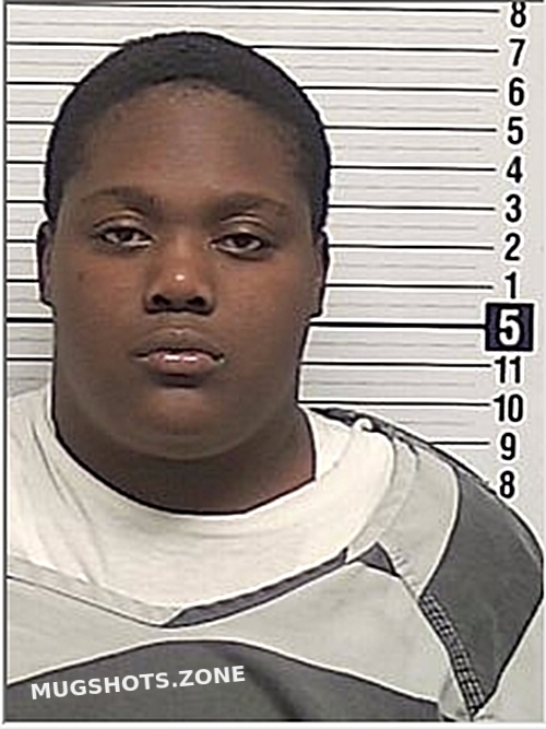 HAYES ALEXUS KIYARI 10/06/2023 - Bay County Mugshots Zone