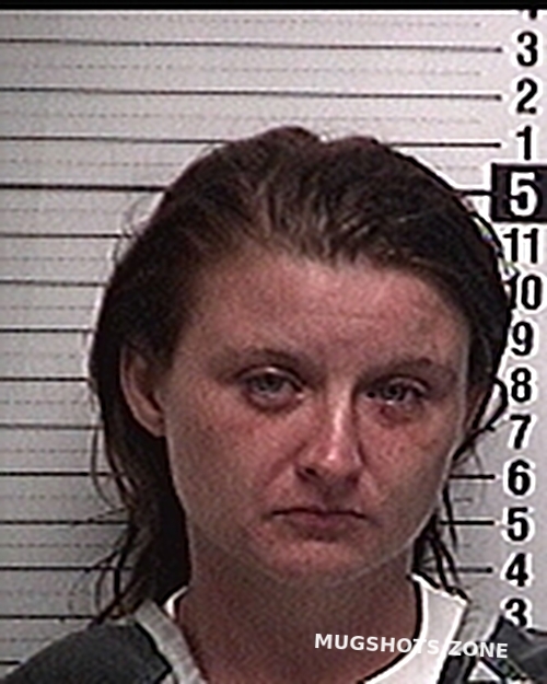 COOK ALISSA ANN 10/15/2023 - Bay County Mugshots Zone