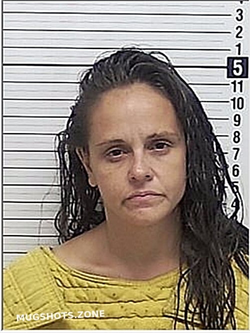 MORDVINA YELENA S 10/30/2023 - Bay County Mugshots Zone