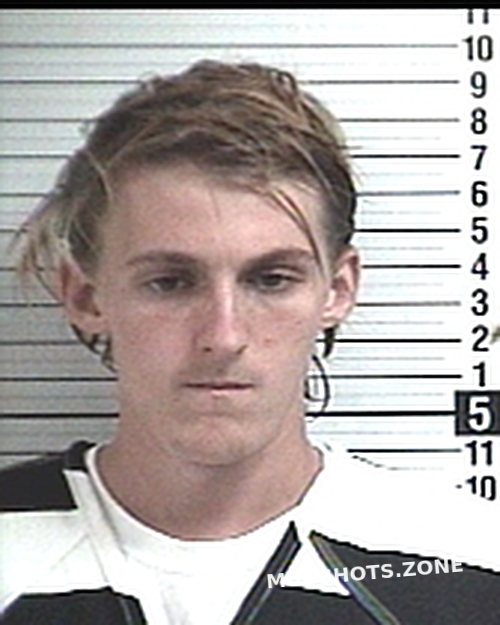 SHINE DAVID CAMERON ZACHARY 10/31/2023 - Bay County Mugshots Zone