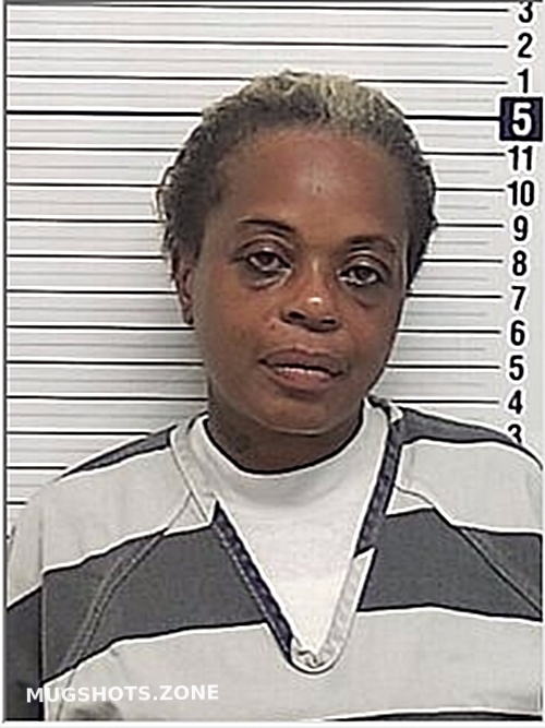 SWAIN TINA DENISE 11/11/2023 - Bay County Mugshots Zone