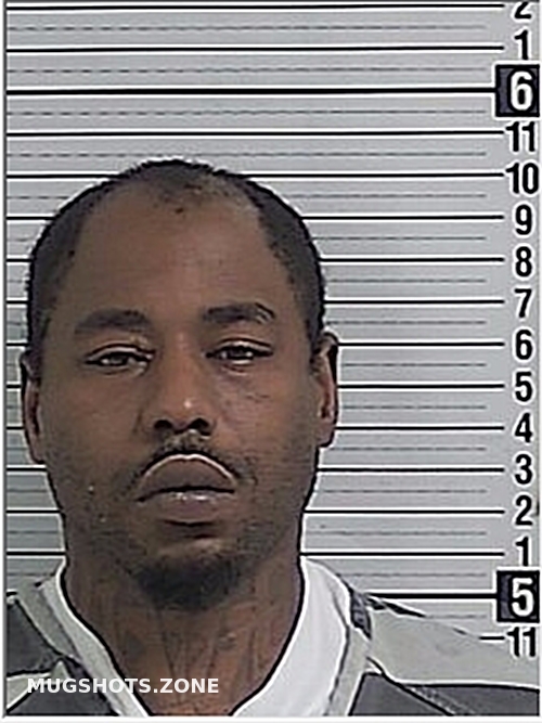 LEVY ALLEN BERT JR 11/15/2023 - Bay County Mugshots Zone