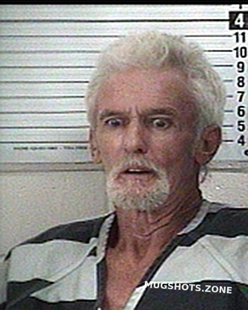 DAVIDSON DOYLE STEVEN 11/16/2023 - Bay County Mugshots Zone
