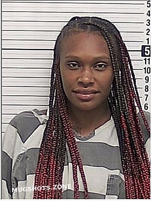 CHISOLM JAMELA SAMARIA 11/19/2023 - Bay County Mugshots Zone