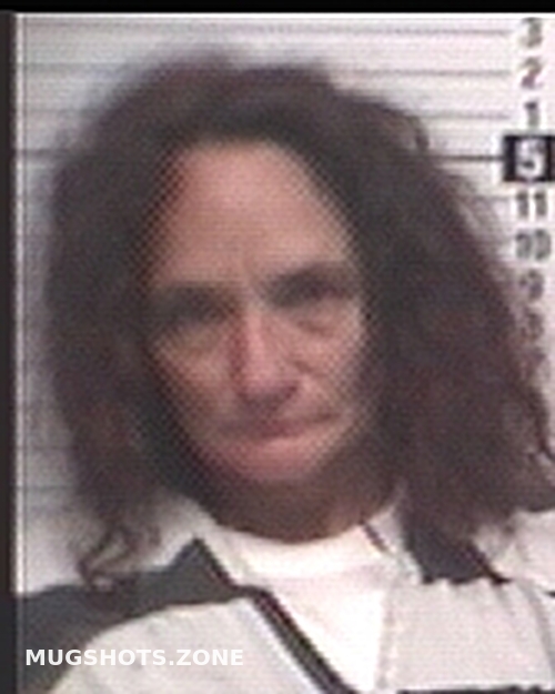 DOSS MICHELLE DAWN 11/19/2023 - Bay County Mugshots Zone