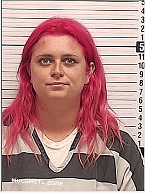 ALTMAN CALLIE KAY 11/19/2023 - Bay County Mugshots Zone