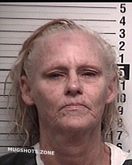 HOSKINS DONNA KAY 11/22/2023 - Bay County Mugshots Zone