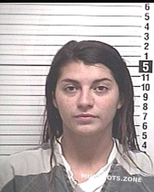 JOHNSON ALYSON MARIE 11/22/2023 - Bay County Mugshots Zone