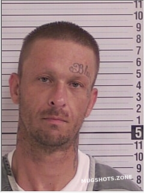 LOWE AARON QUINN 11/22/2023 - Bay County Mugshots Zone