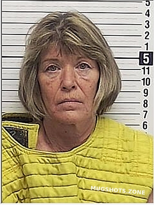 YOUNGBLOOD MICHELLE ANNETTE 11/25/2023 - Bay County Mugshots Zone